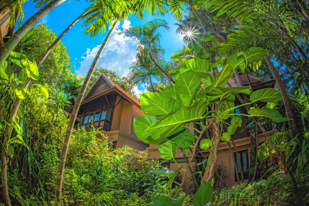 Gallery – rabbitresort